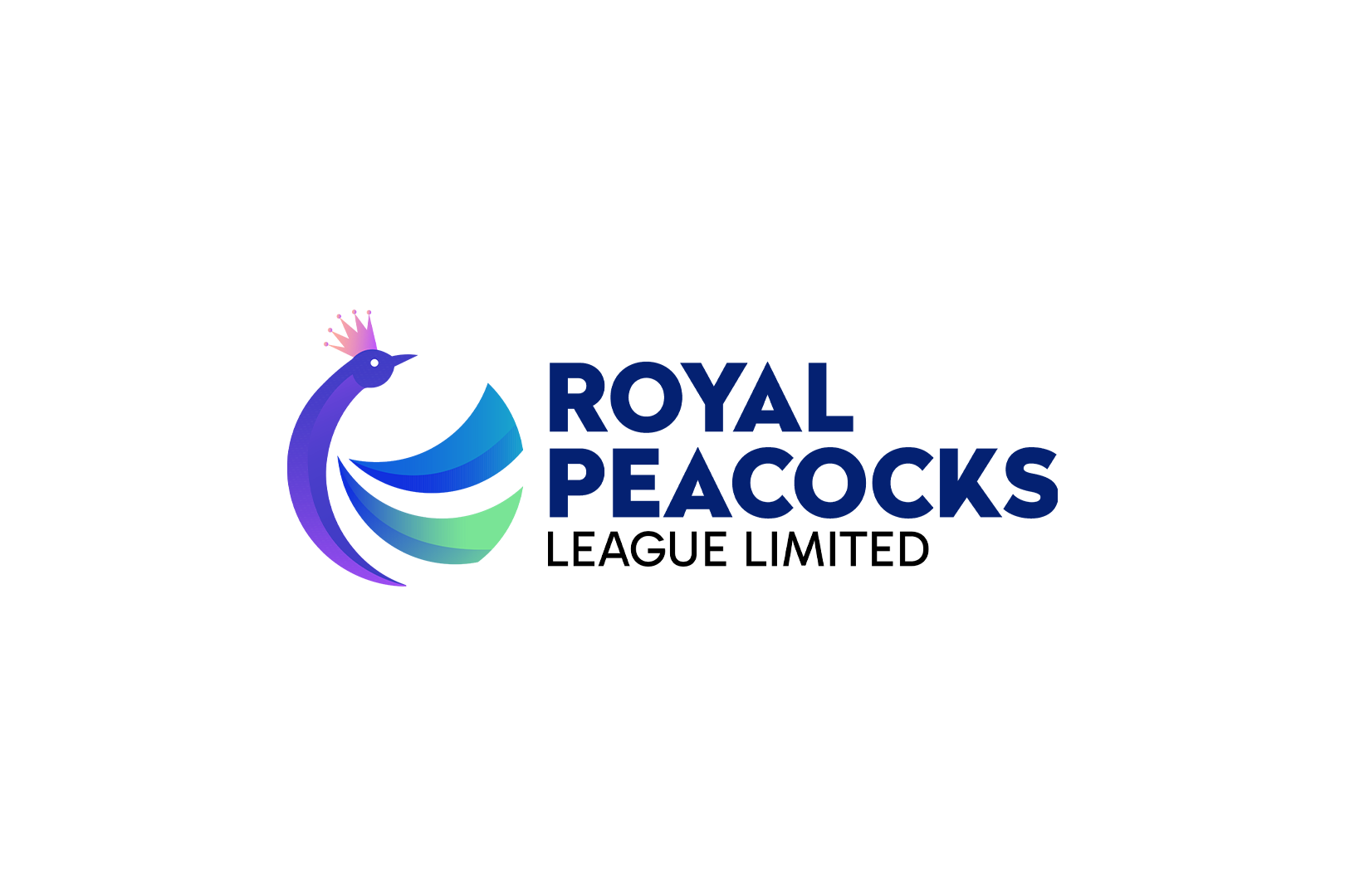 SSPL T10 - India's Premier T10 Cricket League